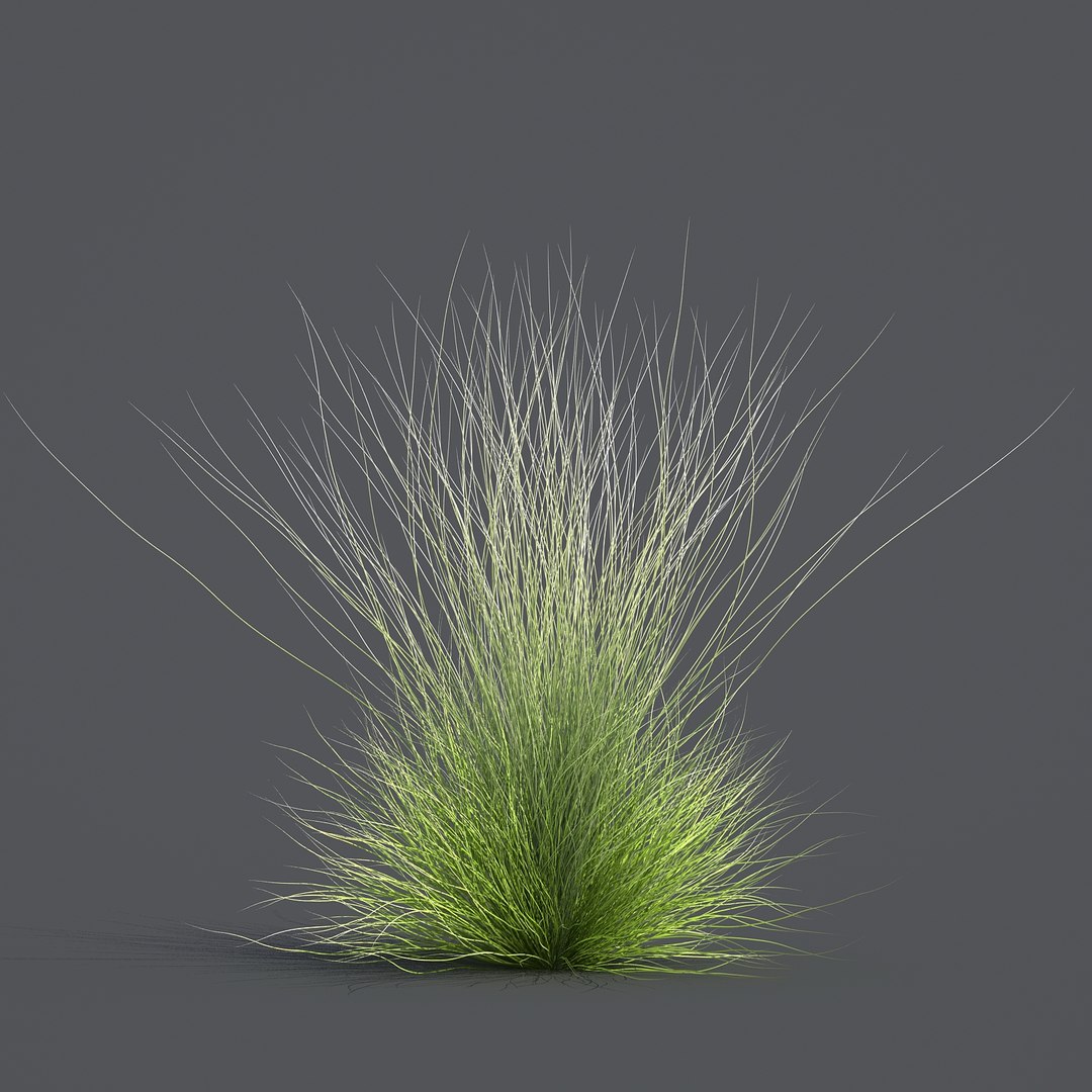 Grass Deer Model - TurboSquid 1229106