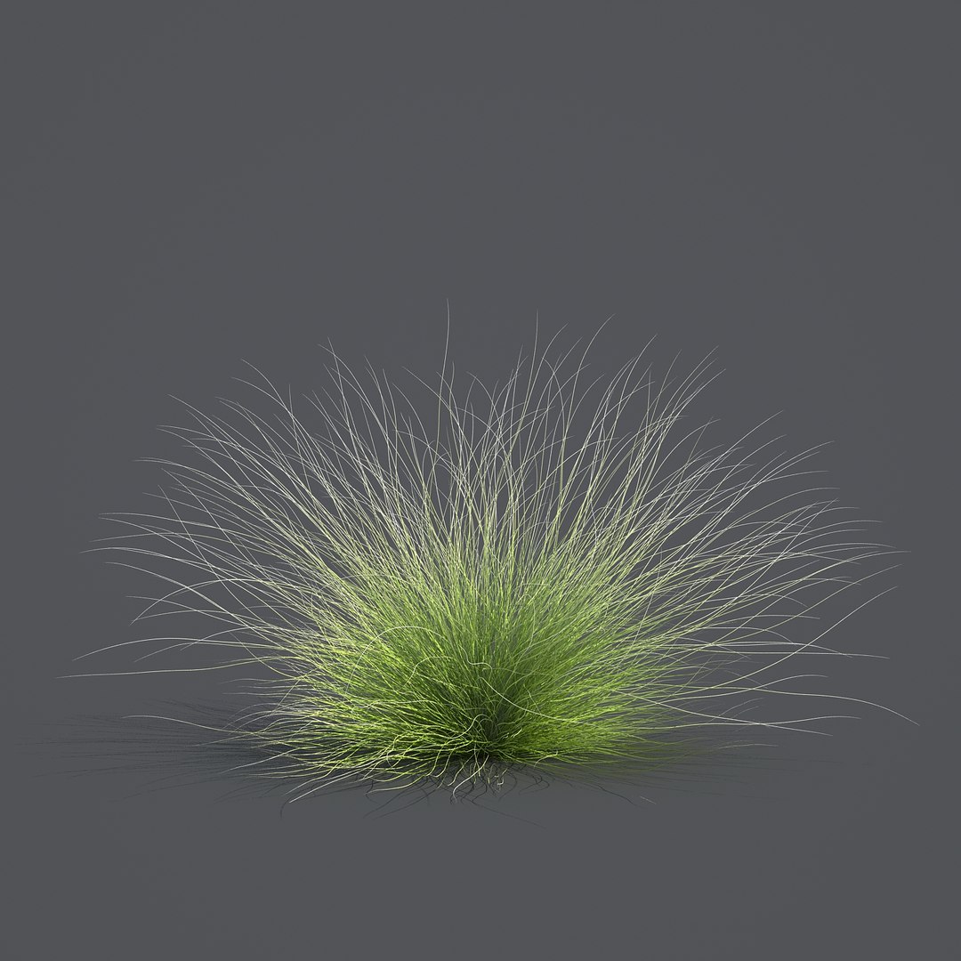 Grass Deer Model - TurboSquid 1229106
