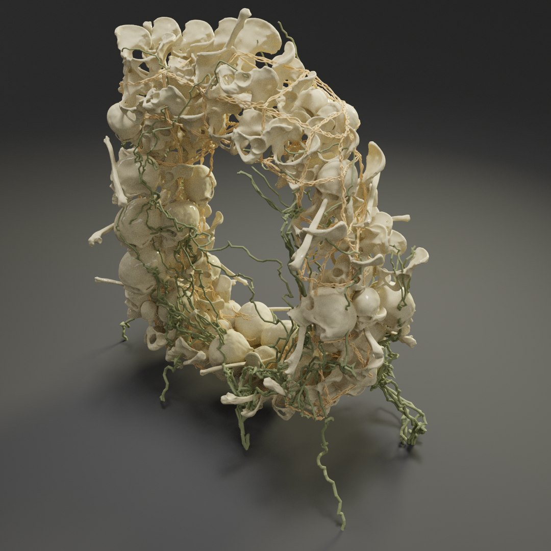 Letter D Bones Skeleton 3D Model - TurboSquid 1546055