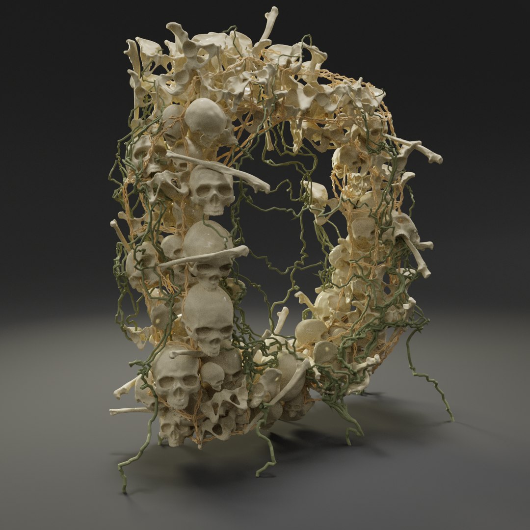 Letter D Bones Skeleton 3D Model - TurboSquid 1546055