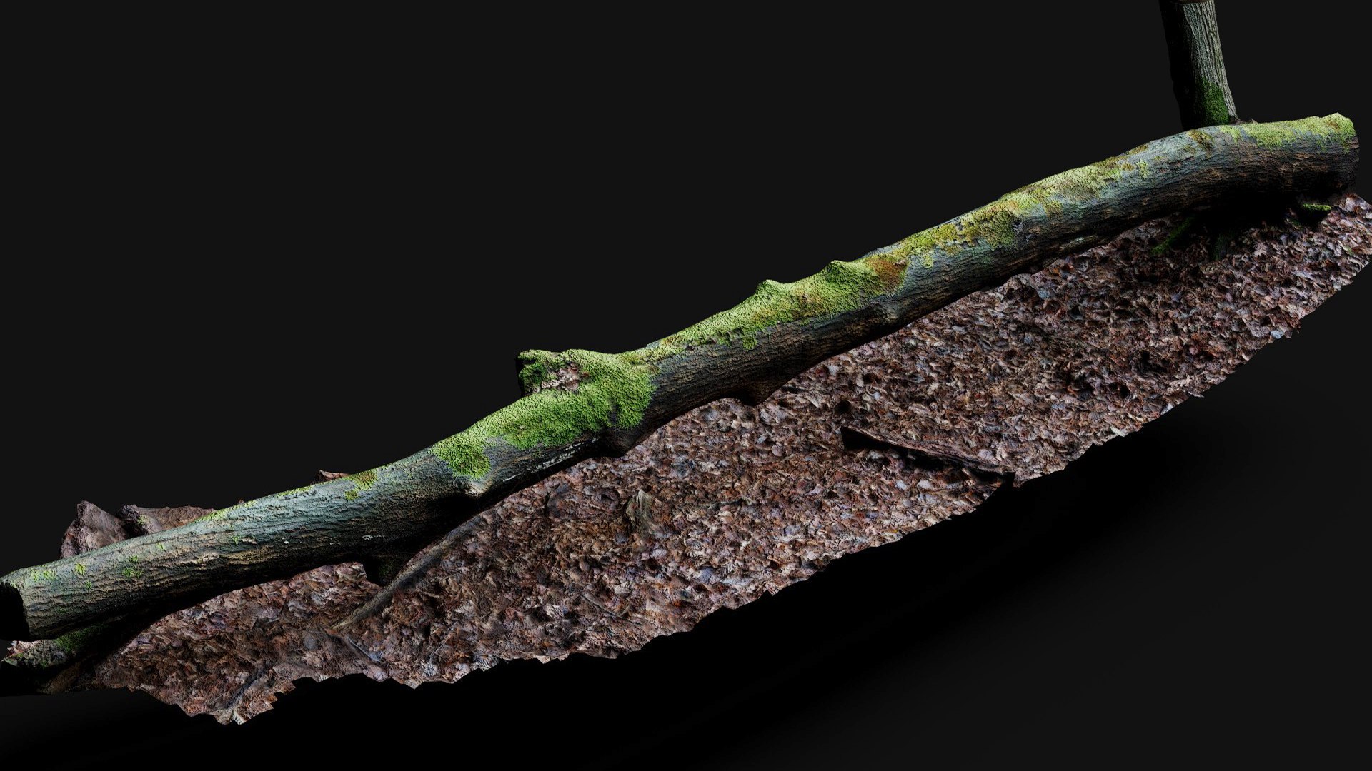 3D Forest Ground Tree Mossy Branches Debris Pt5 Photogrammetry Model ...