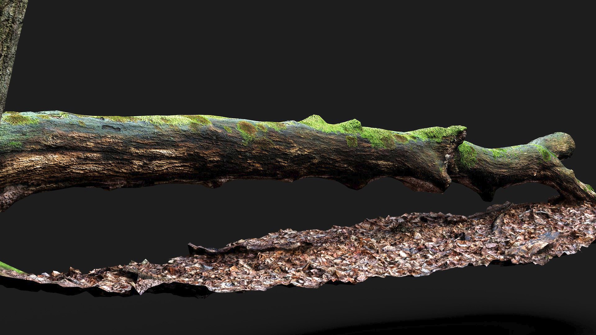 3D Forest Ground Tree Mossy Branches Debris Pt5 Photogrammetry Model ...