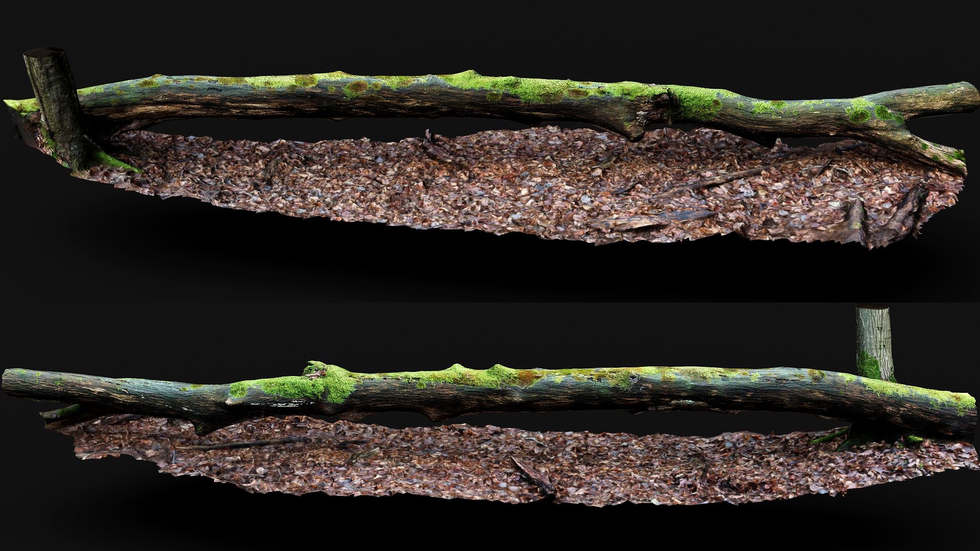 3D Forest Ground Tree Mossy Branches Debris Pt5 Photogrammetry Model ...