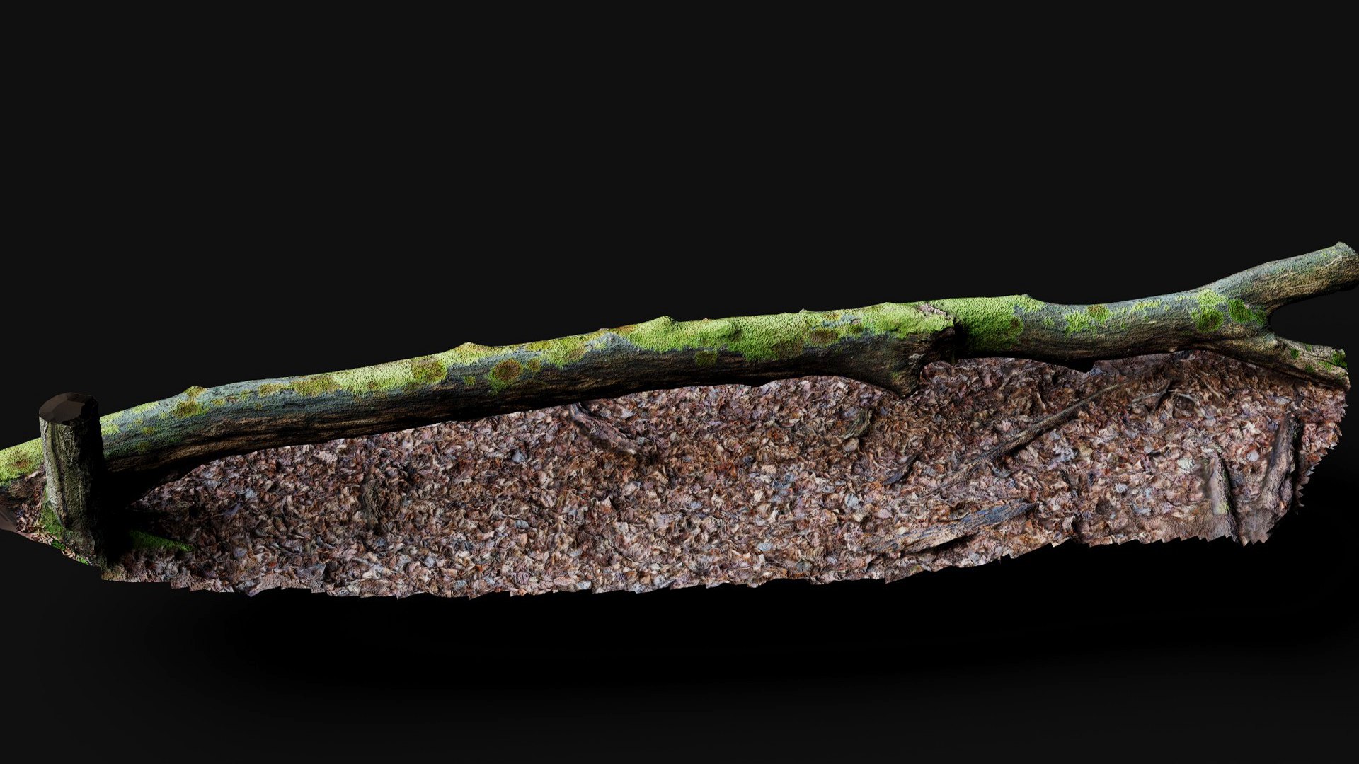 3D Forest Ground Tree Mossy Branches Debris Pt5 Photogrammetry Model ...