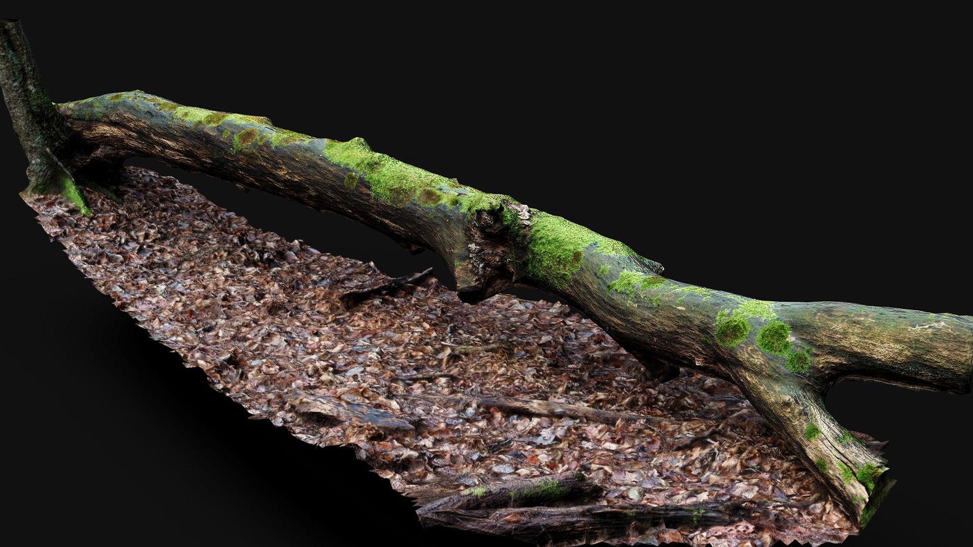 3D Forest Ground Tree Mossy Branches Debris Pt5 Photogrammetry Model ...
