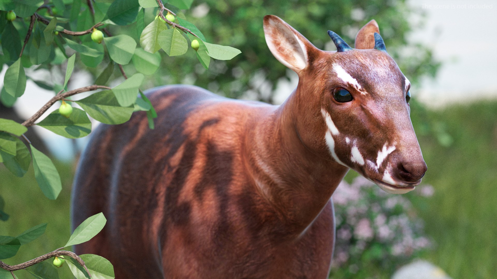 3D Model Saola Rigged - TurboSquid 2202802