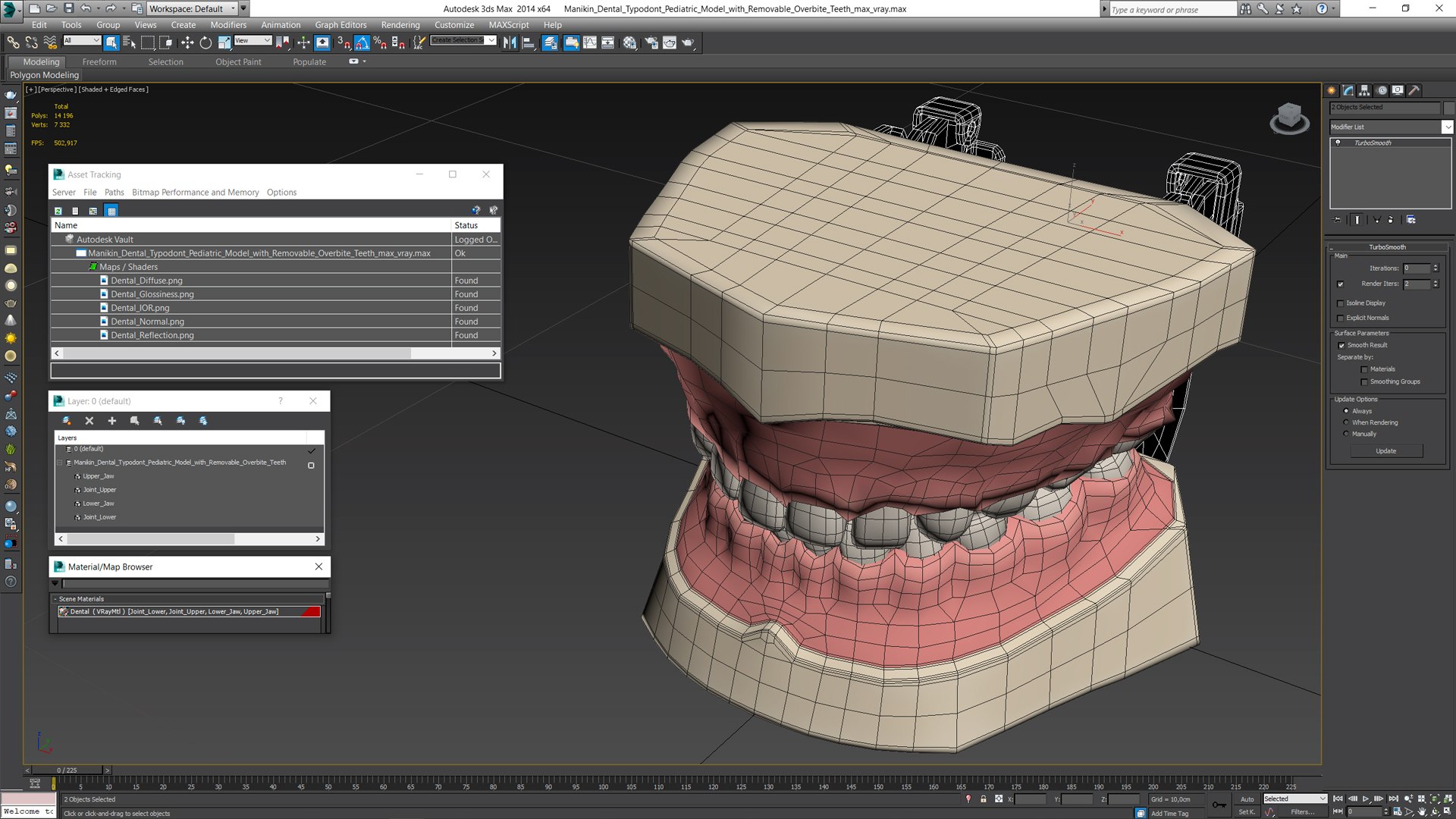 3D Manikin Dental Typodont Pediatric Model With Removable Overbite ...