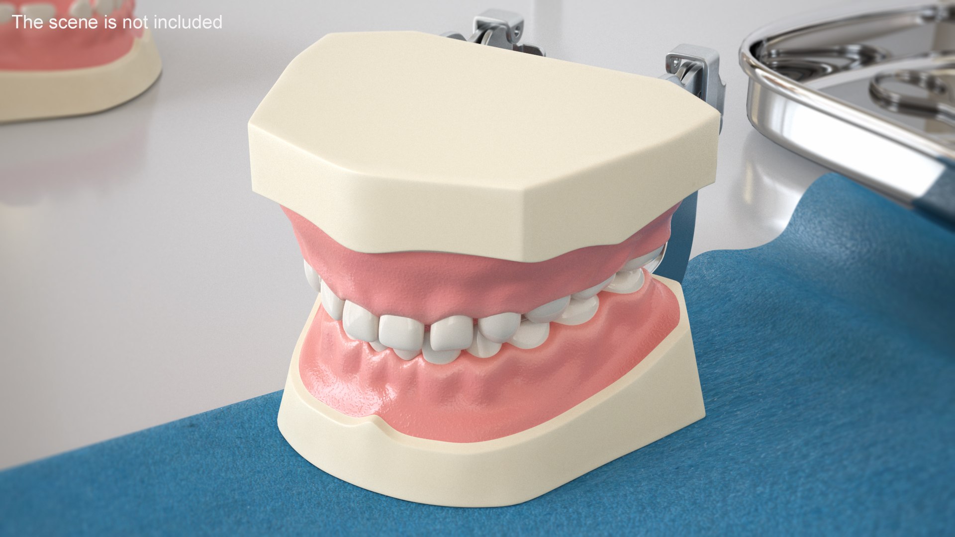 3D Manikin Dental Typodont Pediatric Model With Removable Overbite ...