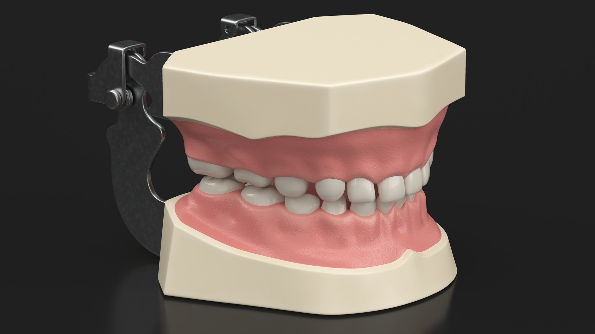 3D Manikin Dental Typodont Pediatric Model With Removable Overbite ...