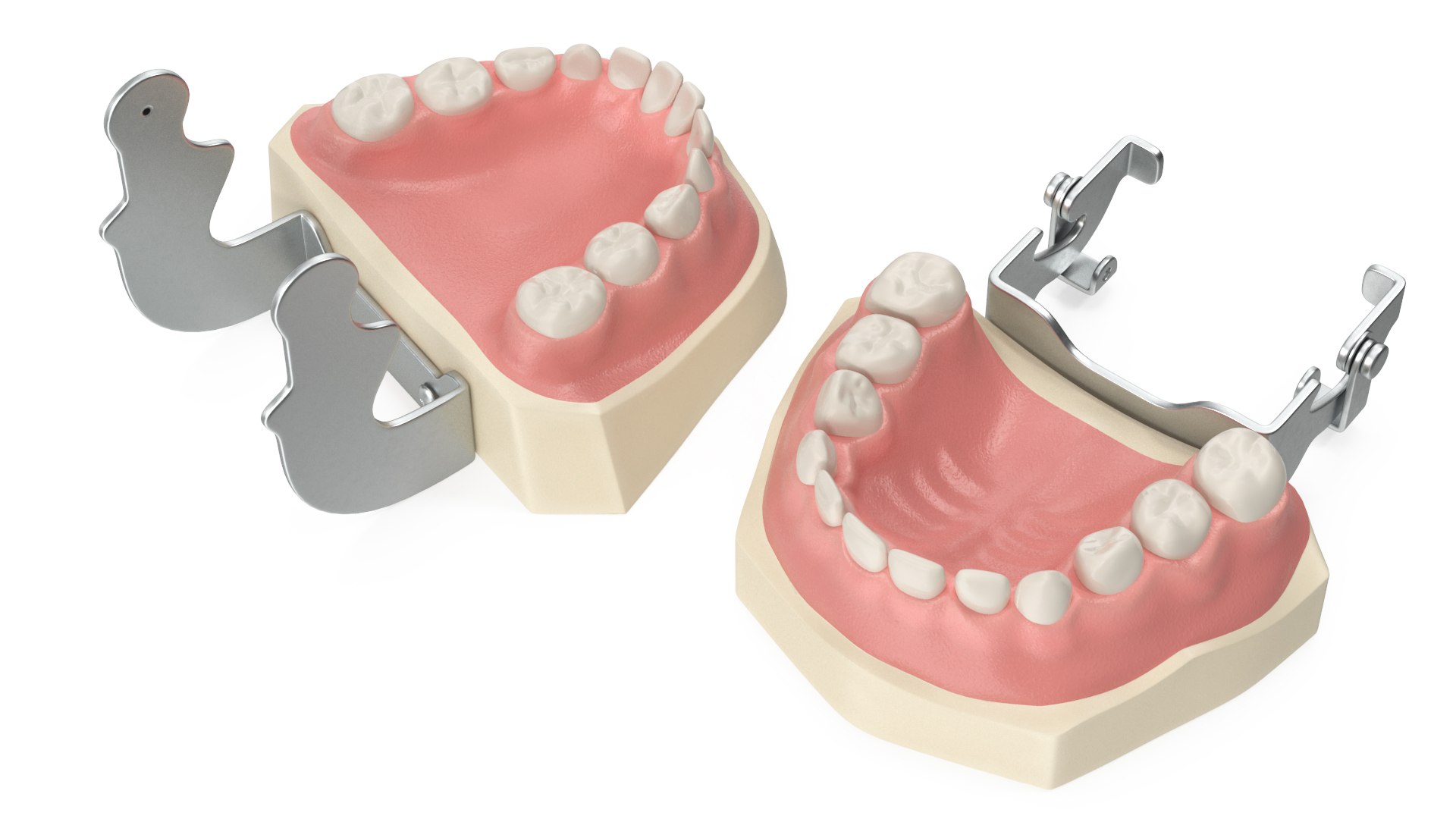 3D Manikin Dental Typodont Pediatric Model With Removable Overbite ...