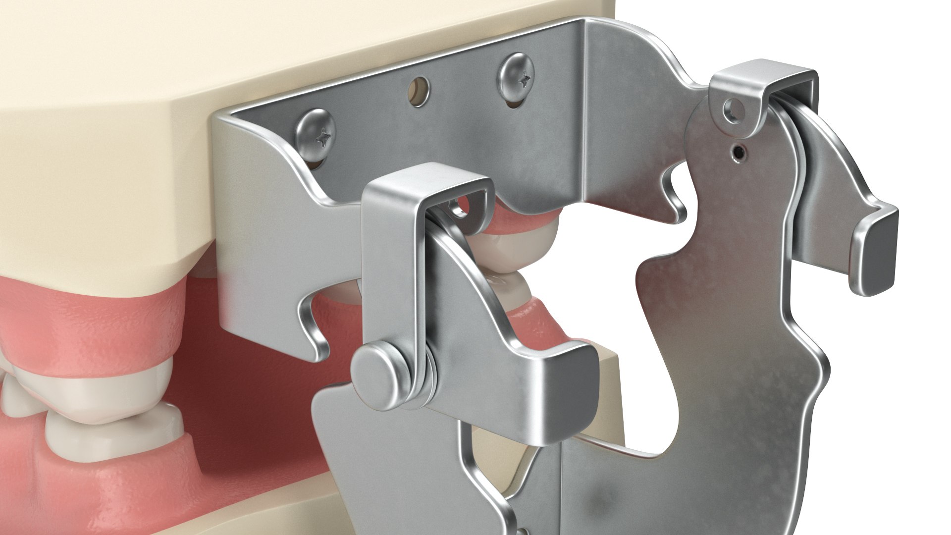 3D Manikin Dental Typodont Pediatric Model With Removable Overbite ...