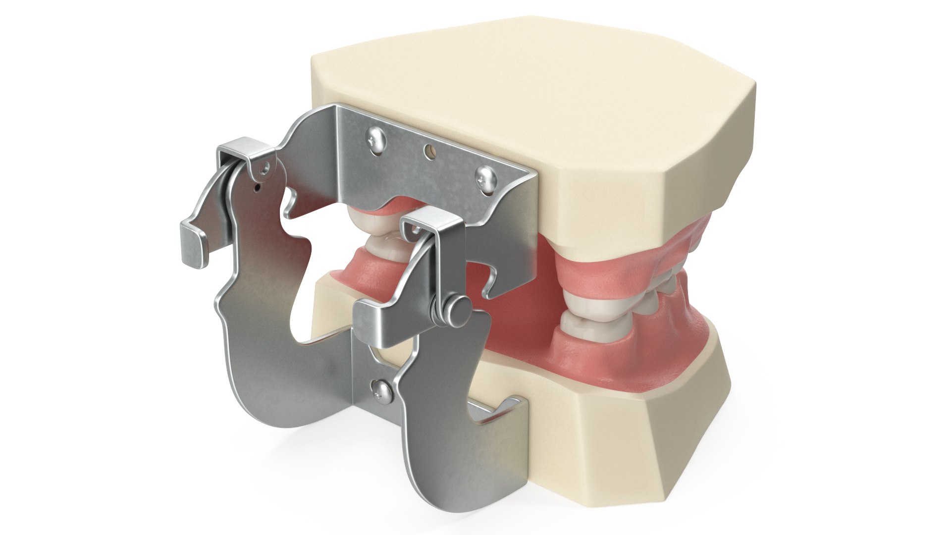 3D Manikin Dental Typodont Pediatric Model With Removable Overbite ...