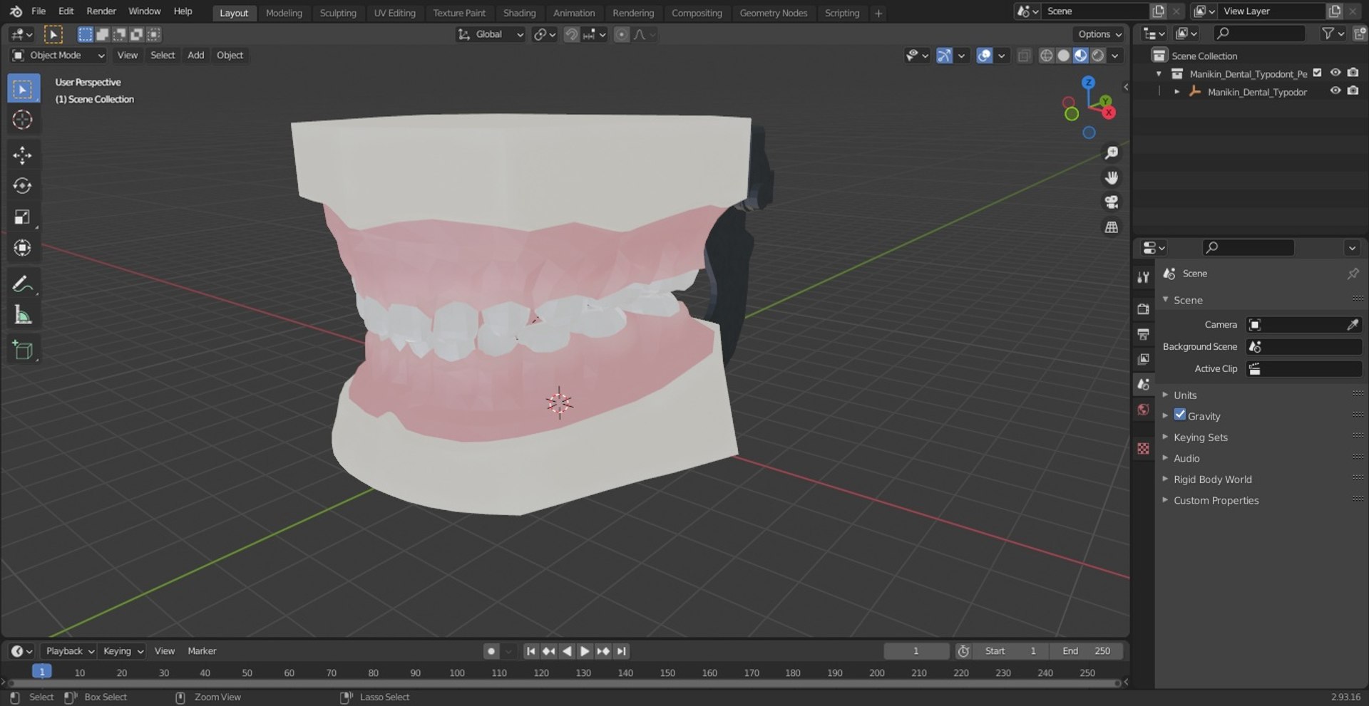 3D Manikin Dental Typodont Pediatric Model With Removable Overbite ...