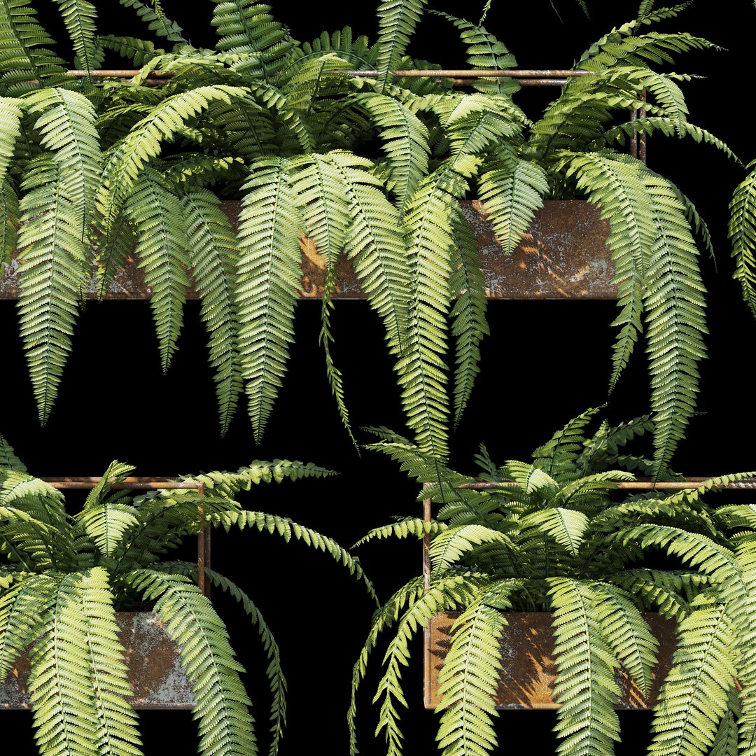 3D Planter Box Fern Model - TurboSquid 1810227