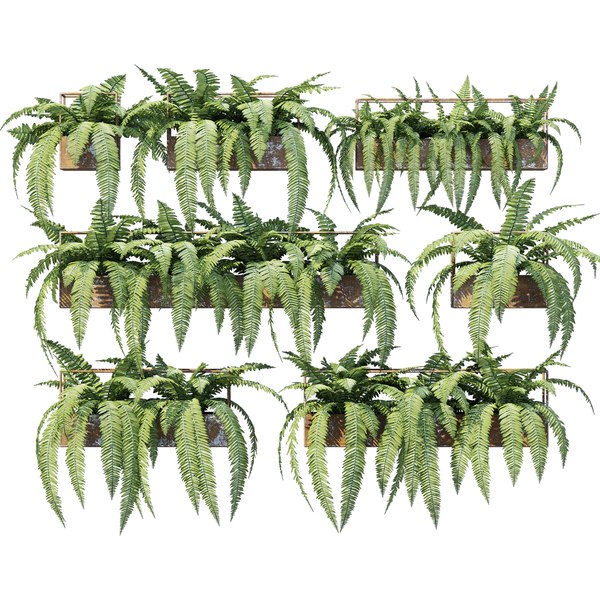 3D Planter box fern model - TurboSquid 1810227