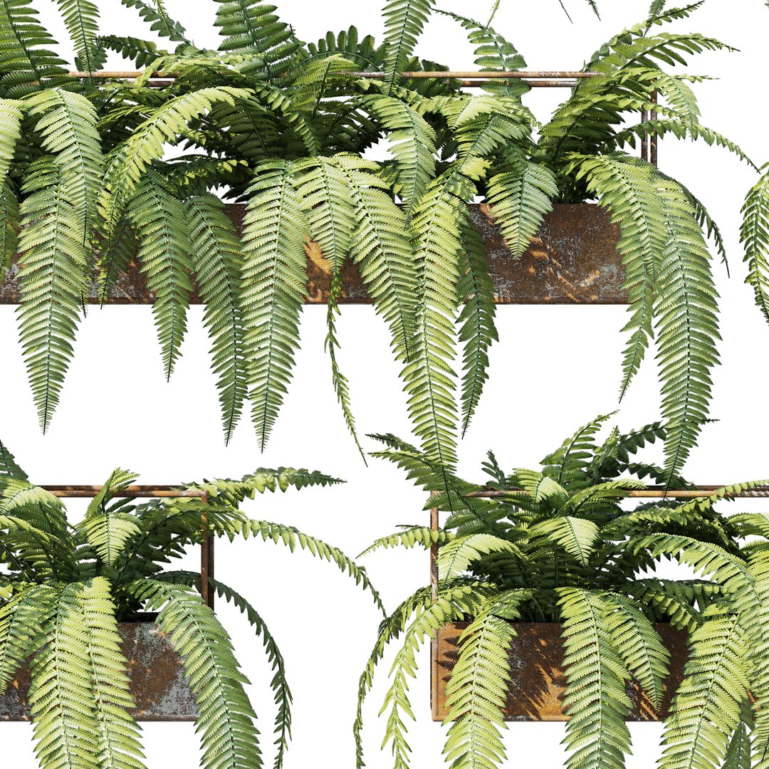 3D Planter Box Fern Model - TurboSquid 1810227