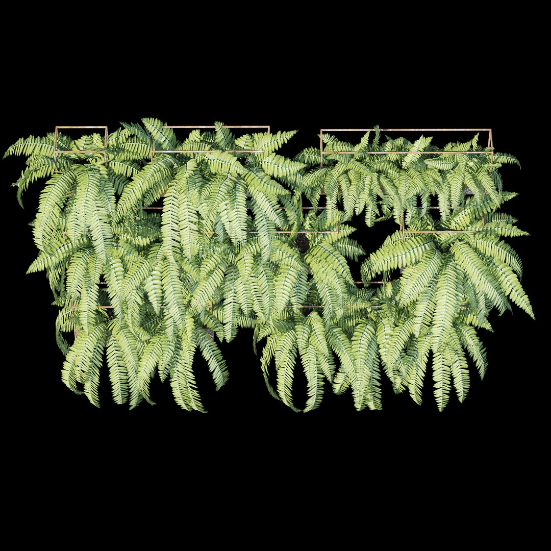 3D Planter Box Fern Model - TurboSquid 1810227