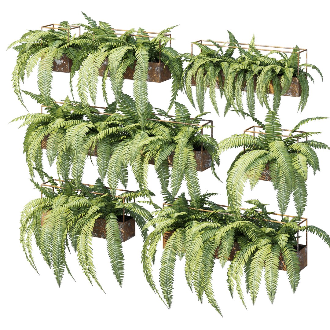 3D Planter Box Fern Model - TurboSquid 1810227