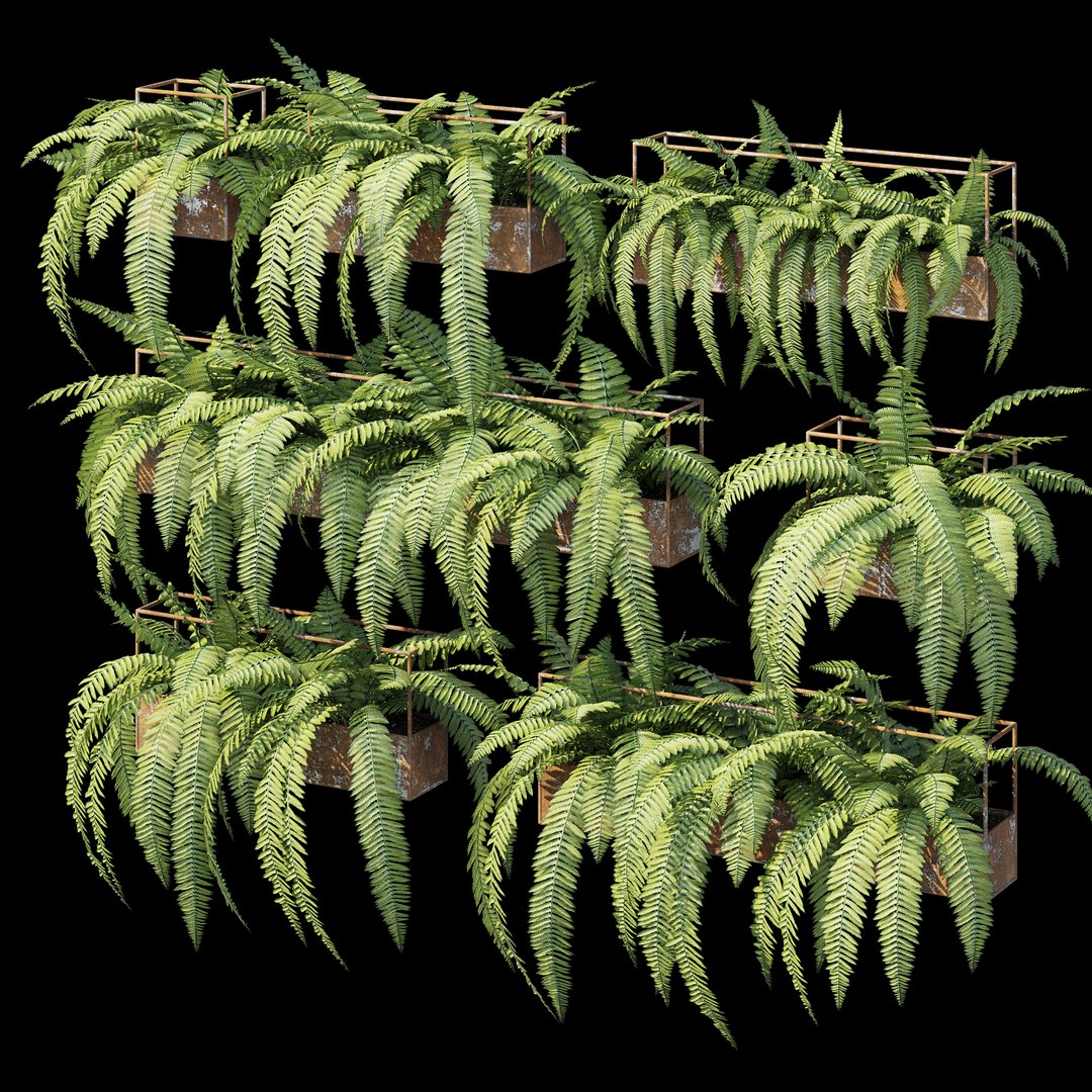3D Planter Box Fern Model - TurboSquid 1810227