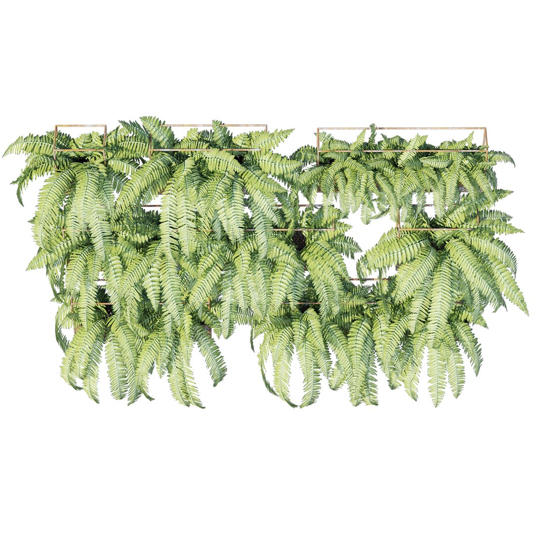 3D Planter Box Fern Model - TurboSquid 1810227