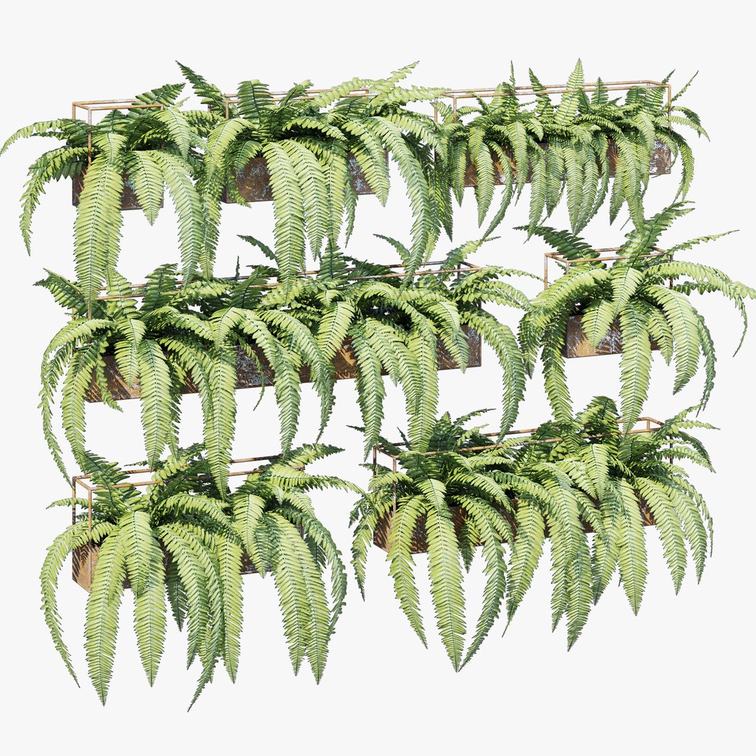 3D Planter Box Fern Model - TurboSquid 1810227