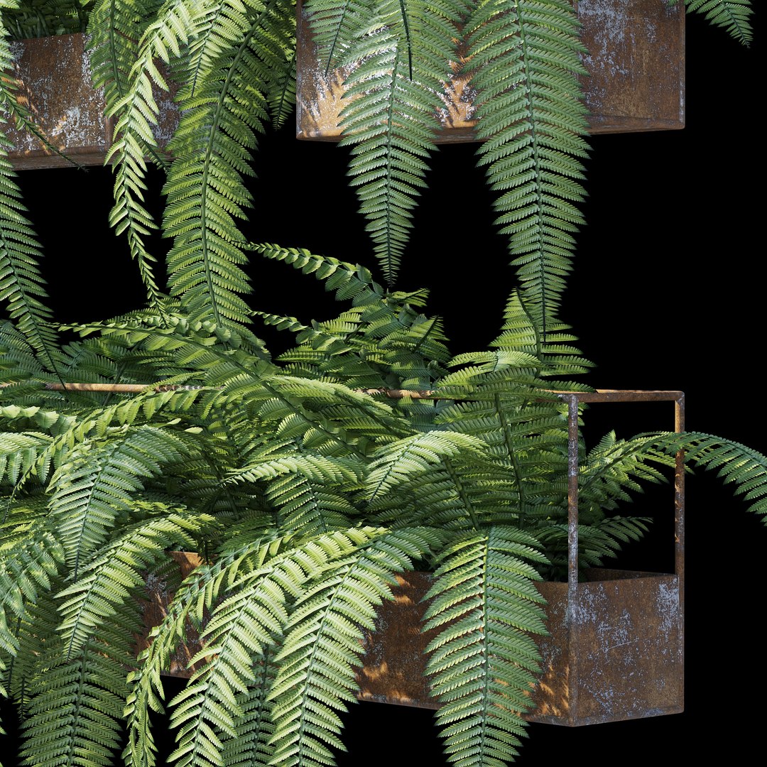 3D Planter Box Fern Model - TurboSquid 1810227