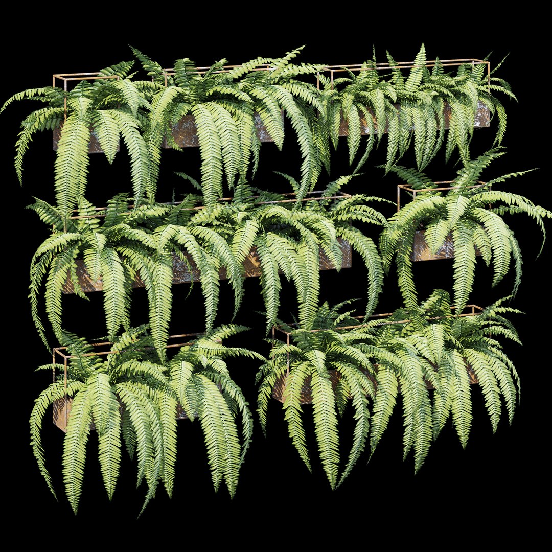 3D Planter Box Fern Model - TurboSquid 1810227