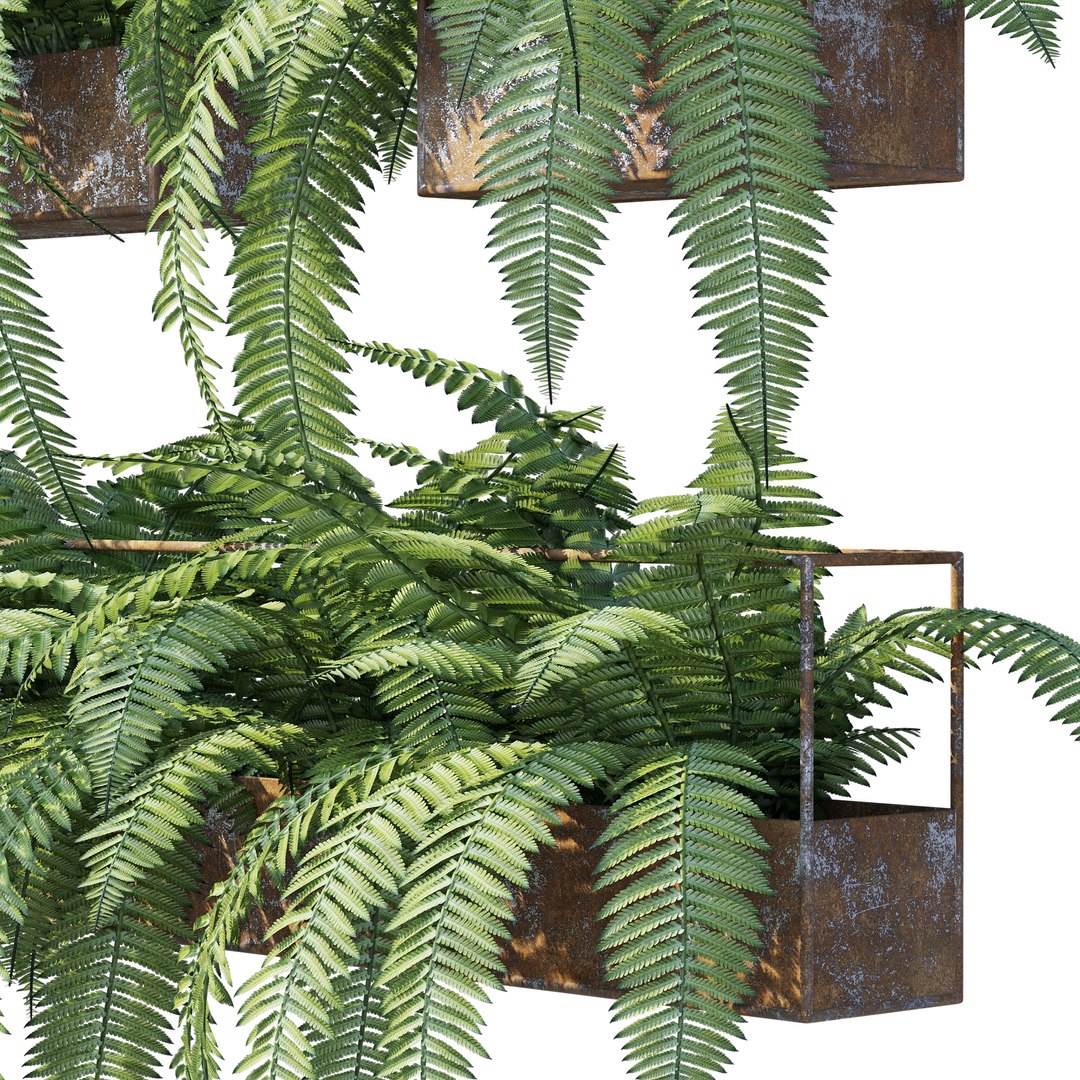 3D Planter Box Fern Model - TurboSquid 1810227