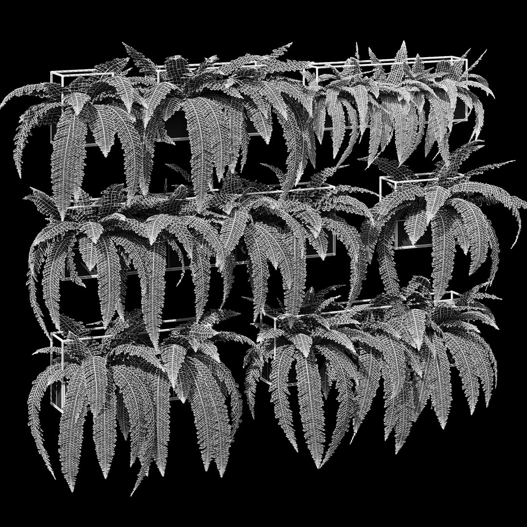 3D Planter Box Fern Model - TurboSquid 1810227