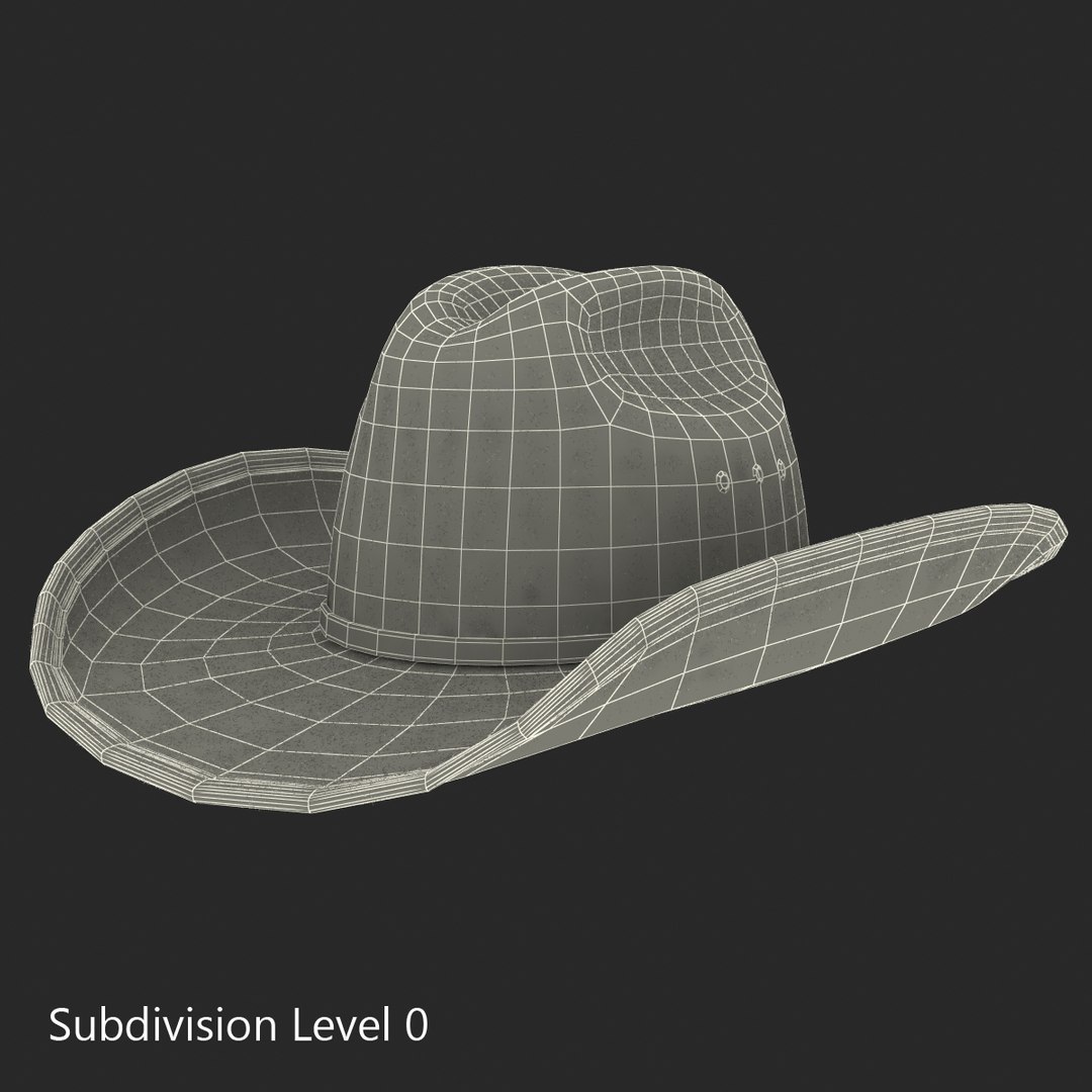 3d Cowboy Hat