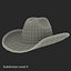 3d Cowboy Hat