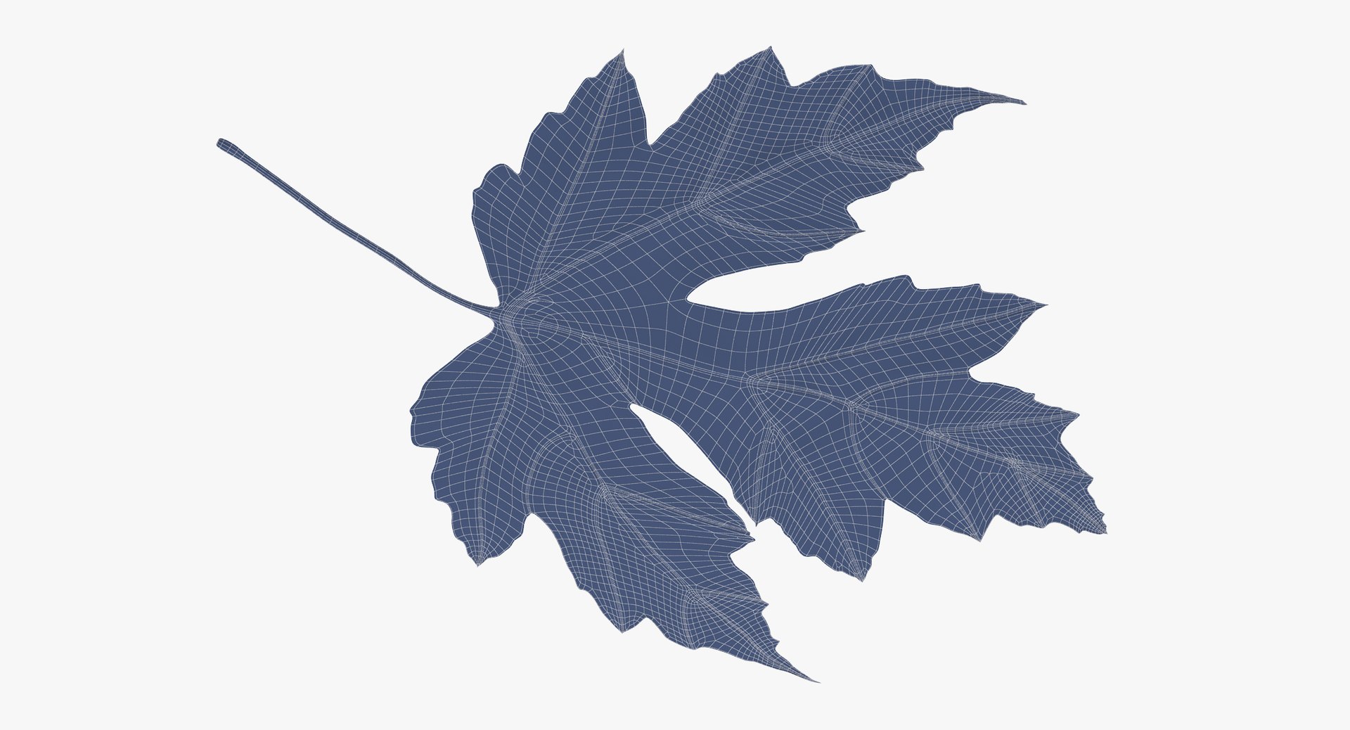 Green Maple Leaf 01 3d Max