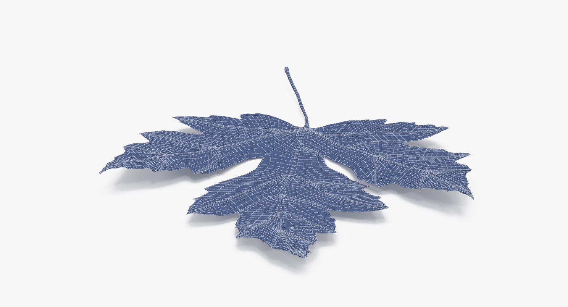 Green Maple Leaf 01 3d Max