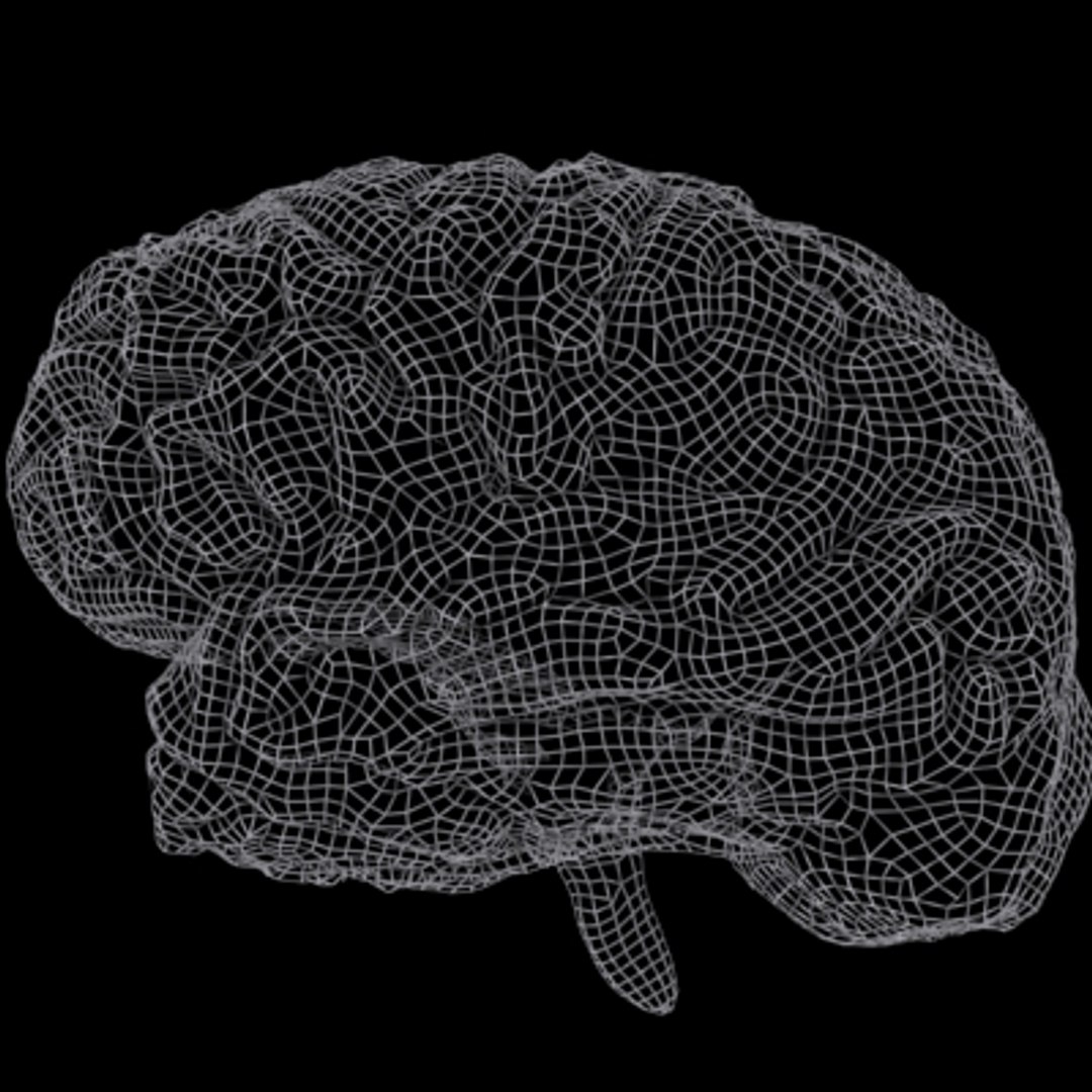 3d Brain