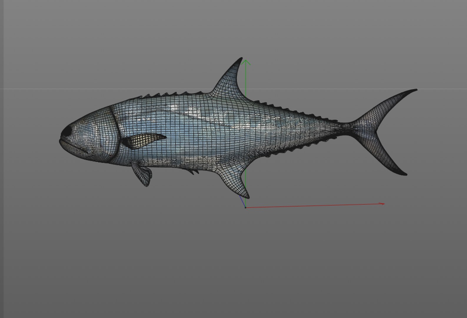 Fish 3D Model - TurboSquid 1551922