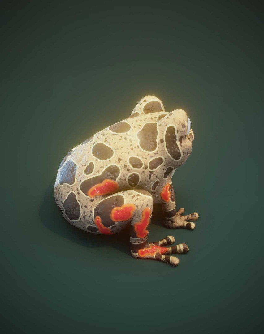 3D Cartoon Red-legged Frog Animated 3D Model - TurboSquid 1776115