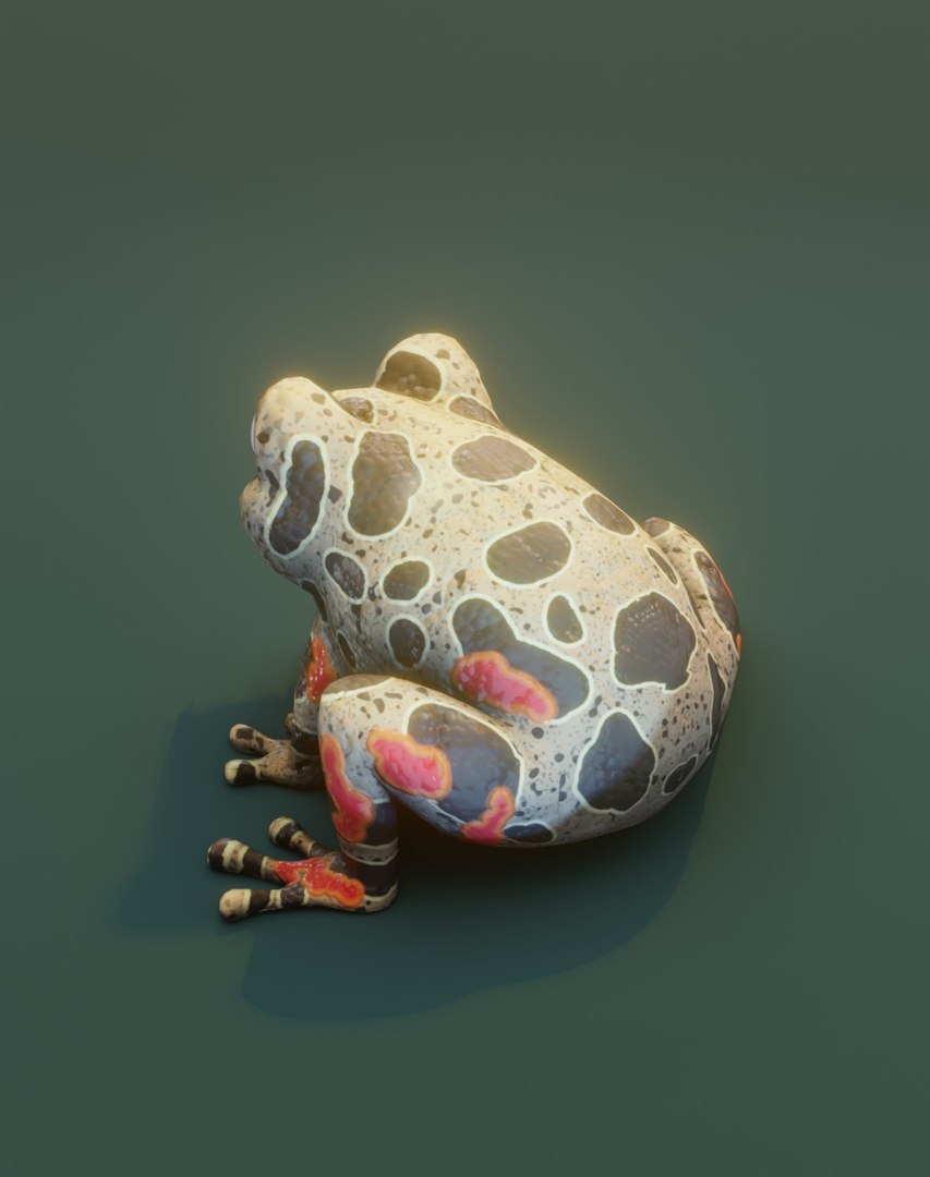 3D Cartoon Red-legged Frog Animated 3D Model - TurboSquid 1776115