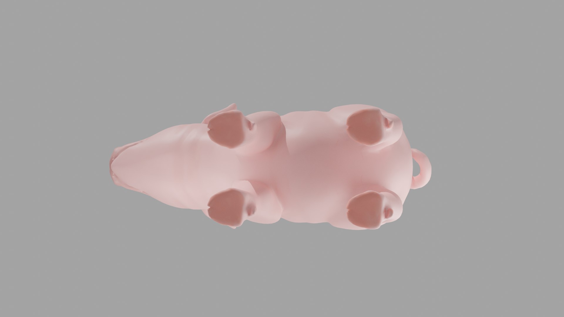 3D Cartoony Piglet Plus Lowpoly Version - TurboSquid 1942781