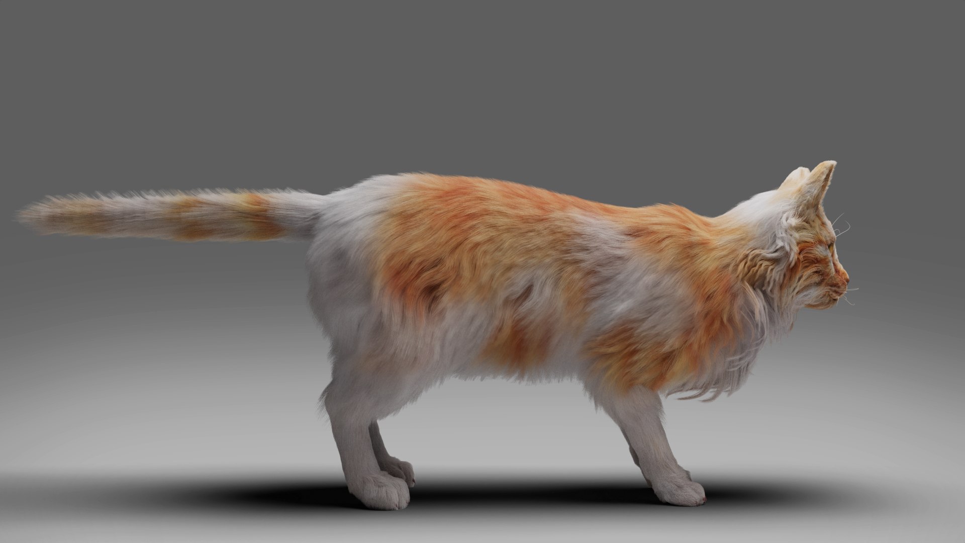 3D Fur Cat Calico V02 Rigged and Animated model - TurboSquid 1981428