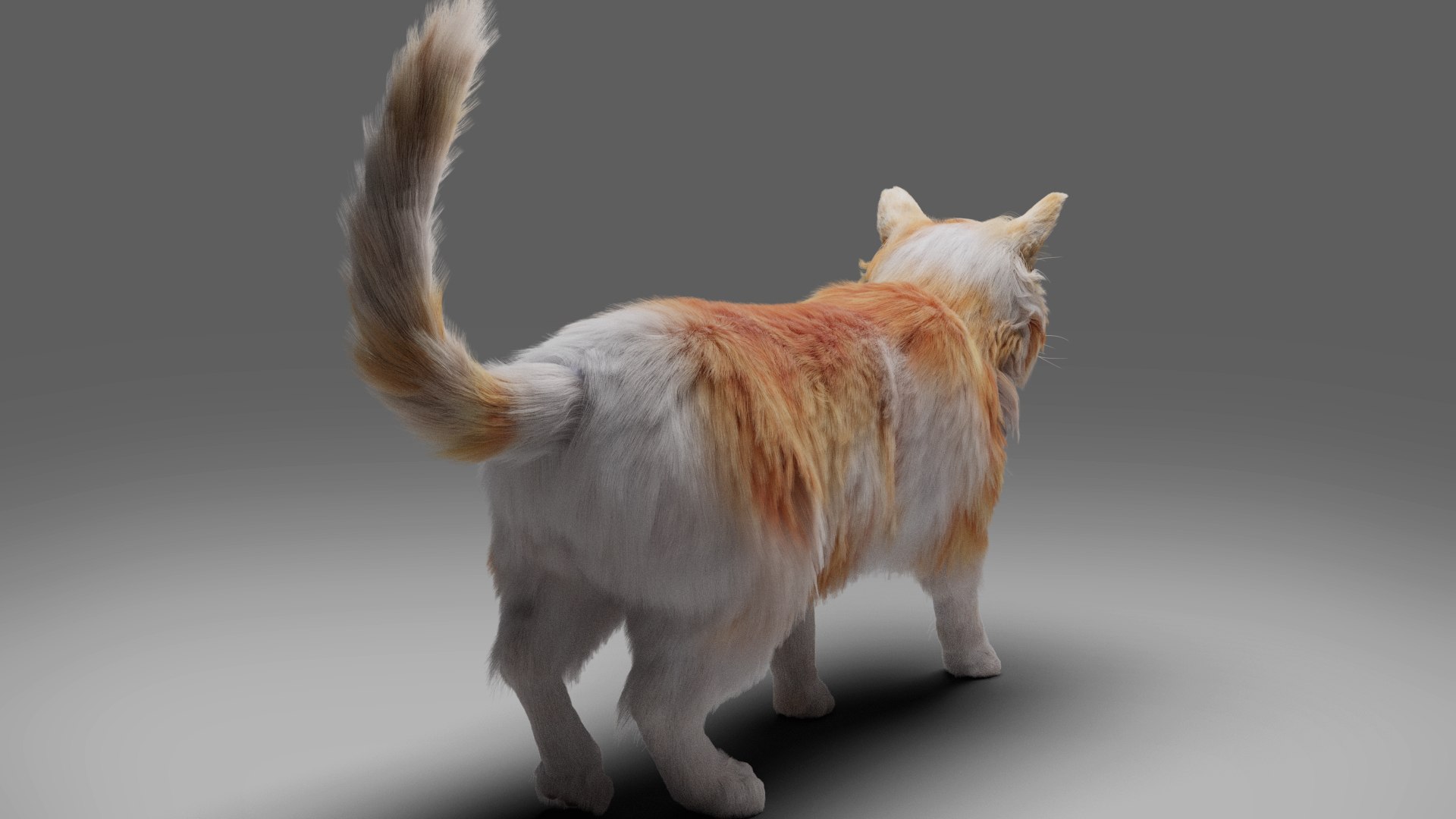 3D Fur Cat Calico V02 Rigged and Animated model - TurboSquid 1981428