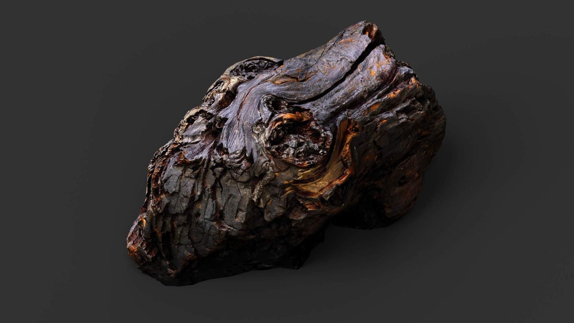 3D Tree Trunk Broken Wood Debris PBR Photogrammetry - TurboSquid 2417483