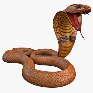 Snake 3D Models for Download | TurboSquid