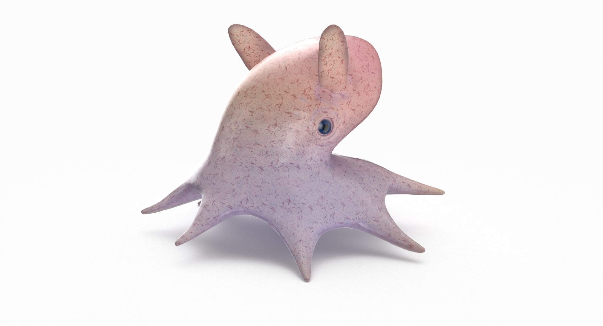 3D Dumbo Octopus Model - TurboSquid 1362547