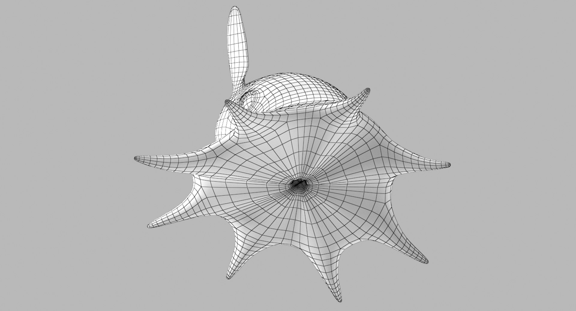 3D Dumbo Octopus Model - TurboSquid 1362547