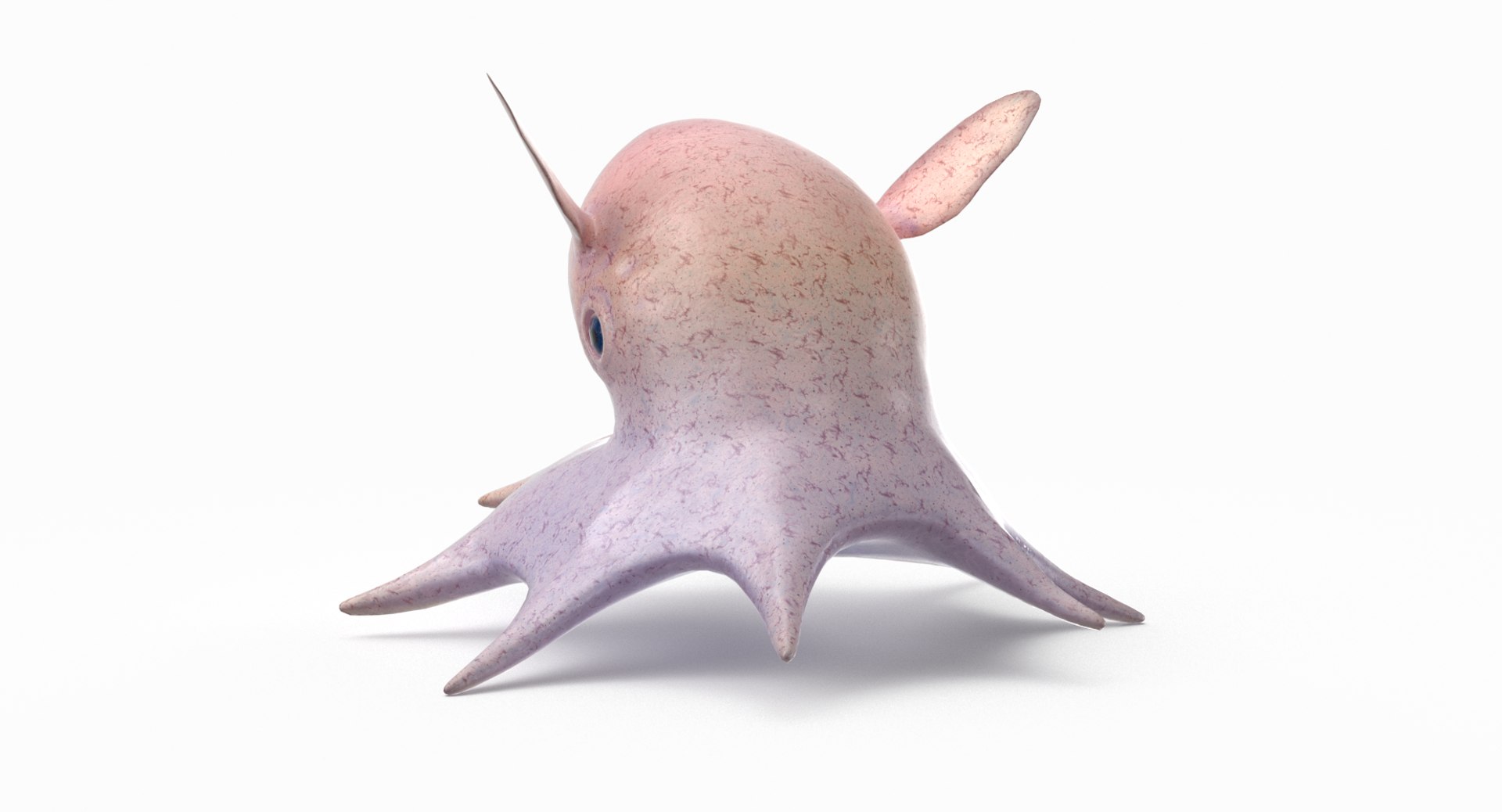 3D Dumbo Octopus Model - TurboSquid 1362547