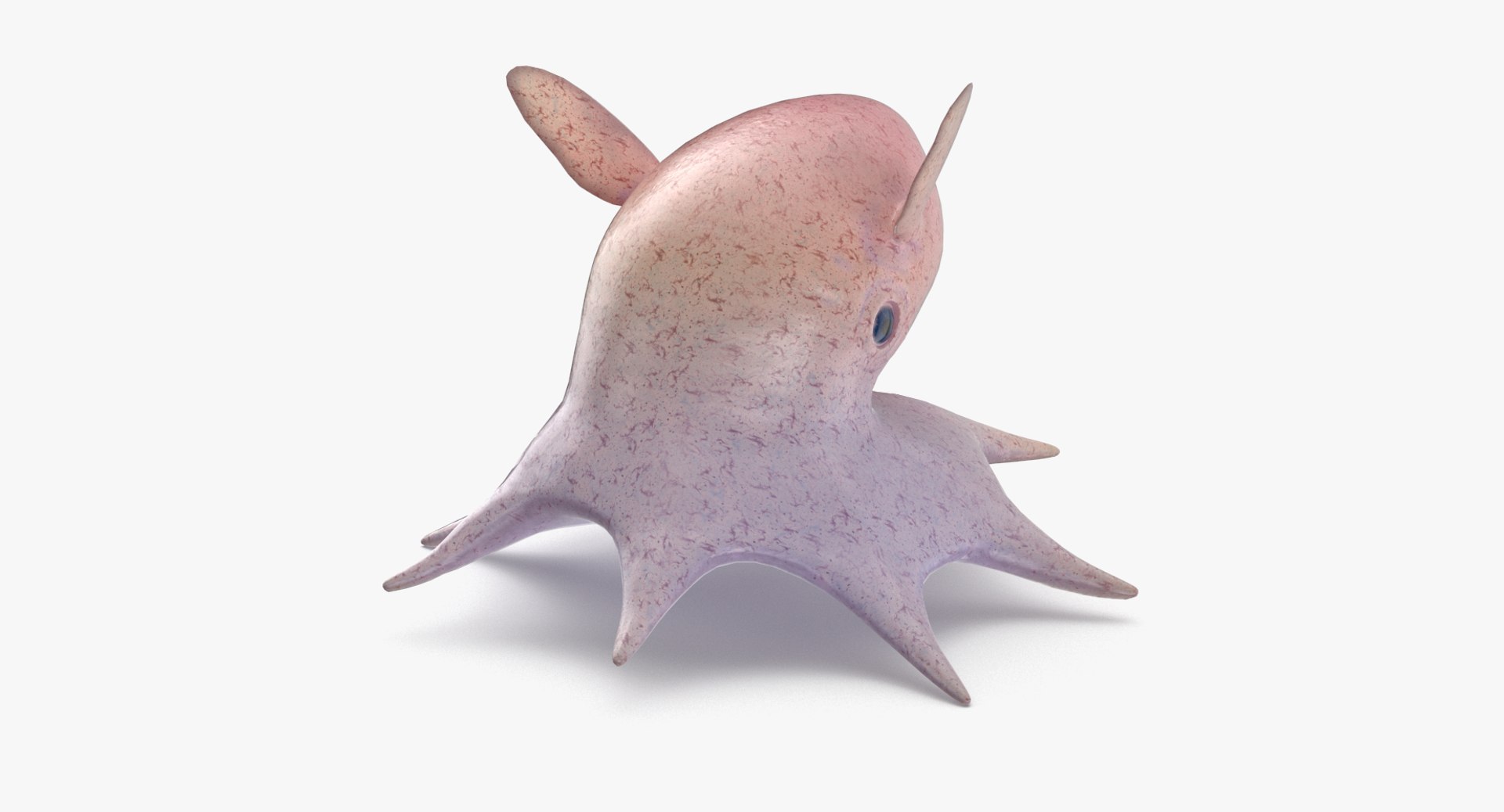 3D Dumbo Octopus Model - TurboSquid 1362547