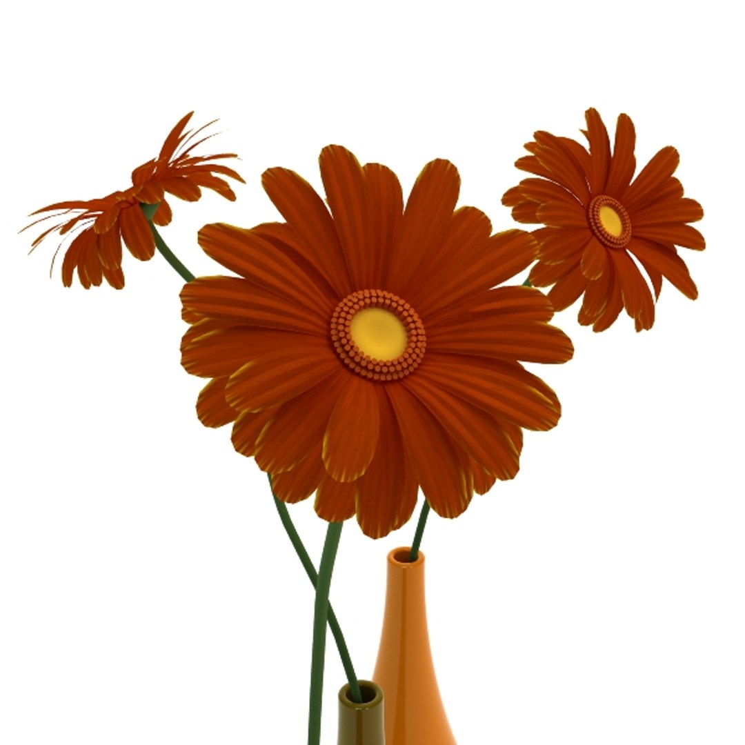 3d gerbera model