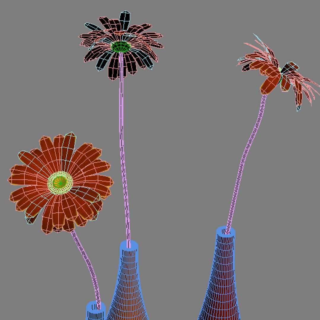 3d gerbera model