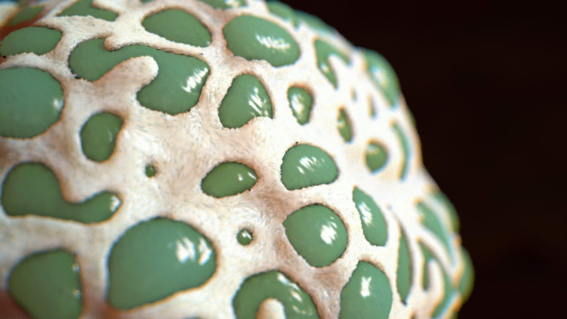 organic cell cluster 3d model