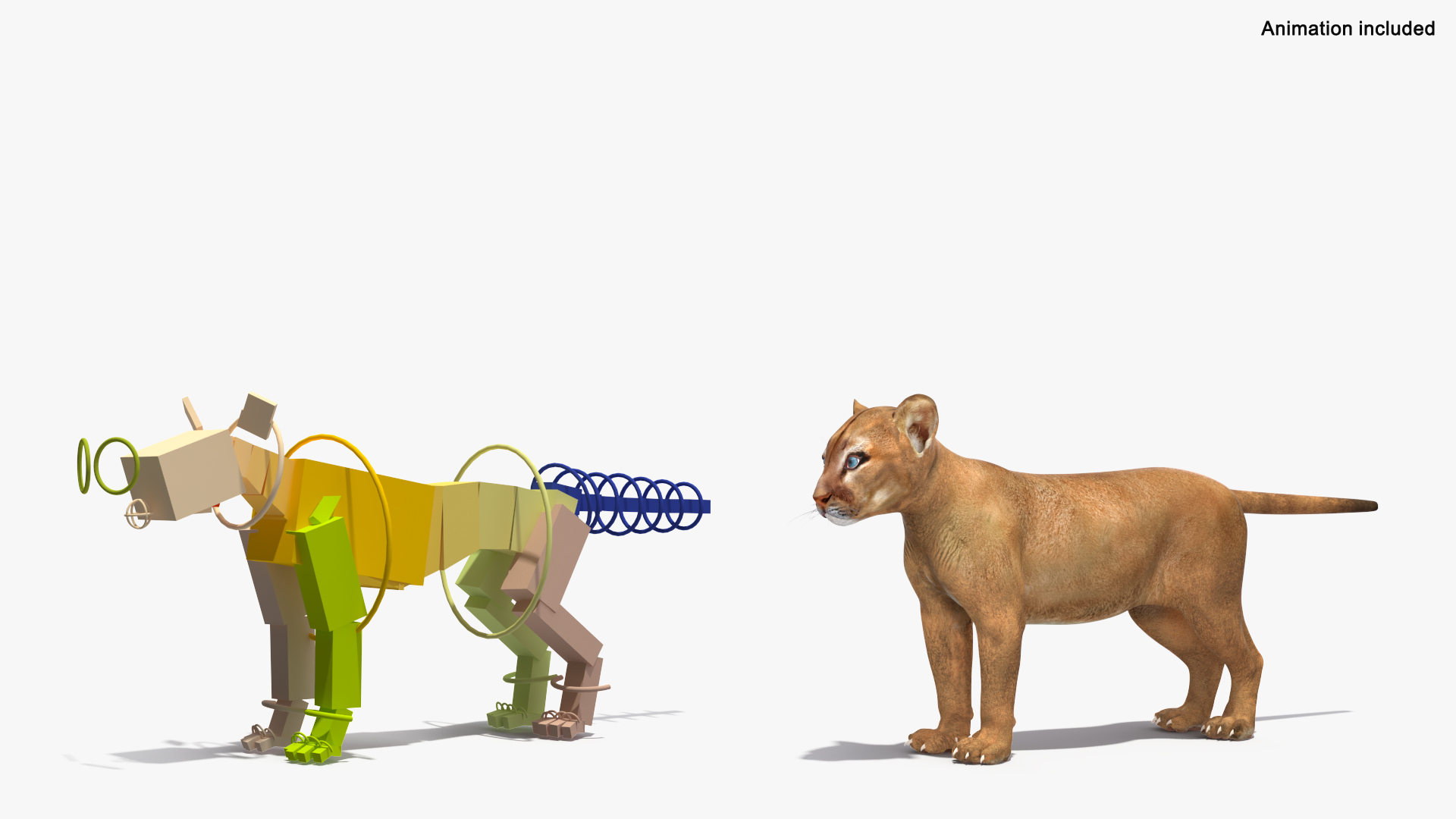 3D Puma Cub Clawing Motion Animated Rigged - TurboSquid 2407440